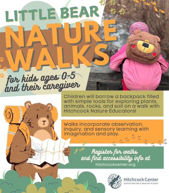 Little Bear Nature Walks for Kids - Amherst Now
